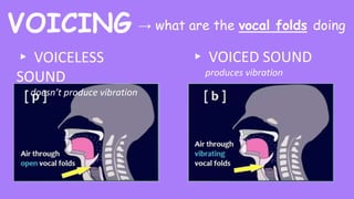 Consonants and Vowels | PPTX