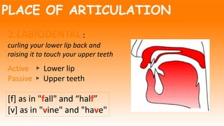 presentation1-160329123926 (6).pdf