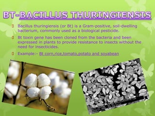 Presentation1 | PPTX