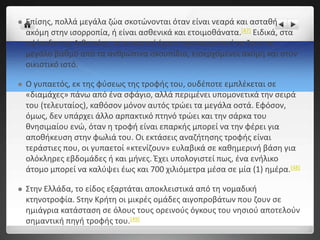 Γυπαετοί | PPTX