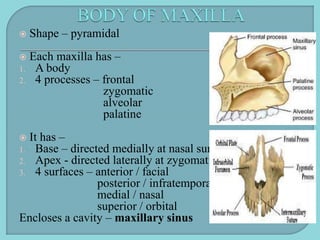 impacted maxillary 3rd molar & canine | PPTX