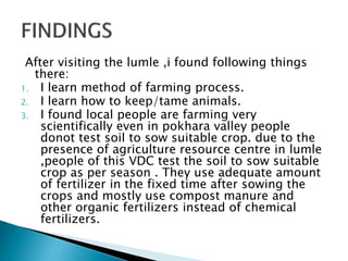 report writing | PPT