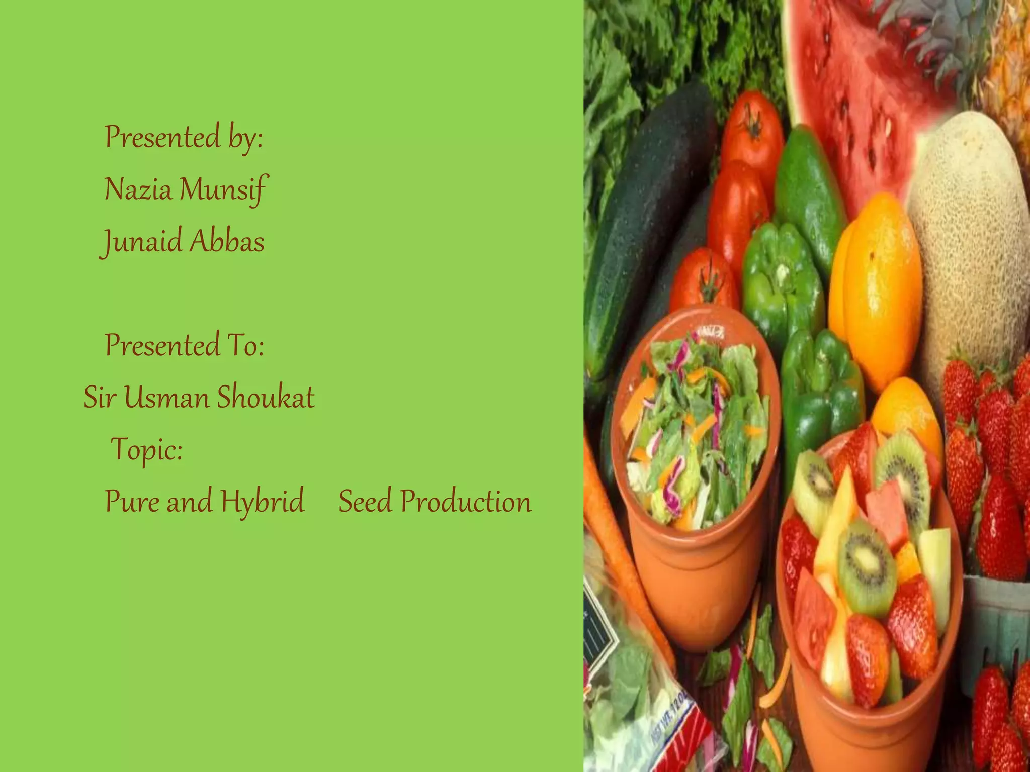 Pure and Hybrid Seed Production | PPT