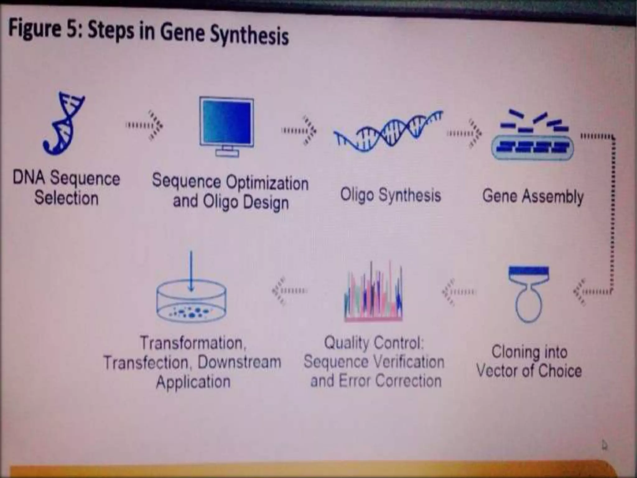 artificial gene synthesis | PPTX