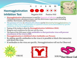 Special Investigations | PPTX