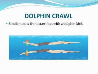Swimming (on the breast) | PPT
