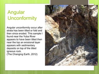 Frank's Field Assignment | PPT