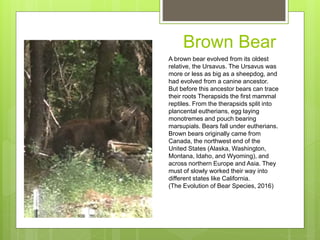 Frank's Field Assignment | PPT