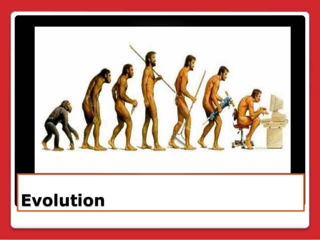 Disciplines and Ideas in Social Sciences