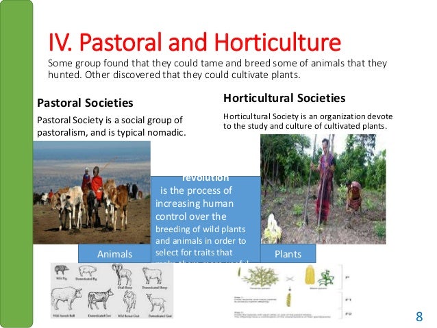 Social Group & Societies