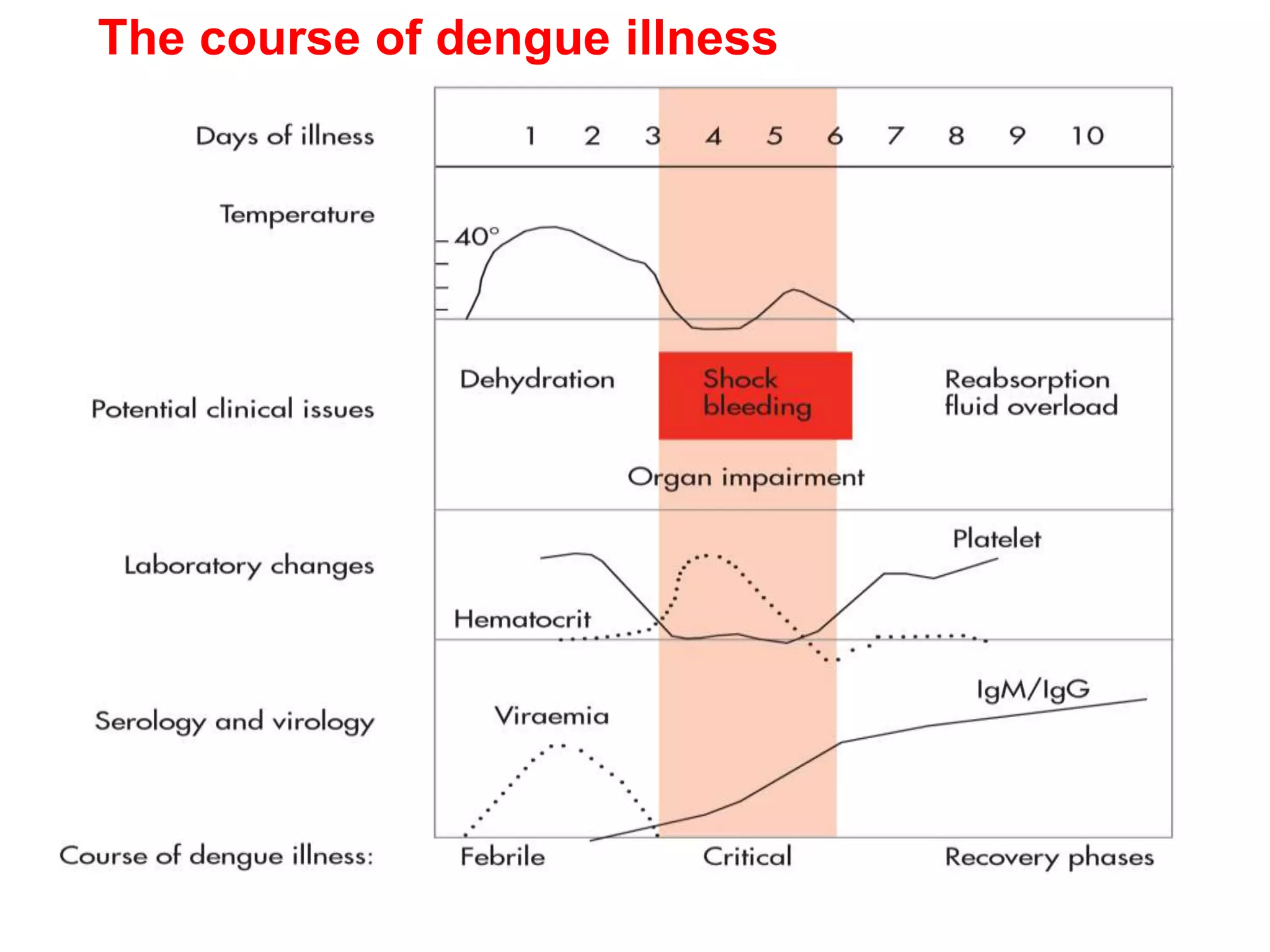 dengue diagnosis and management | PPTX