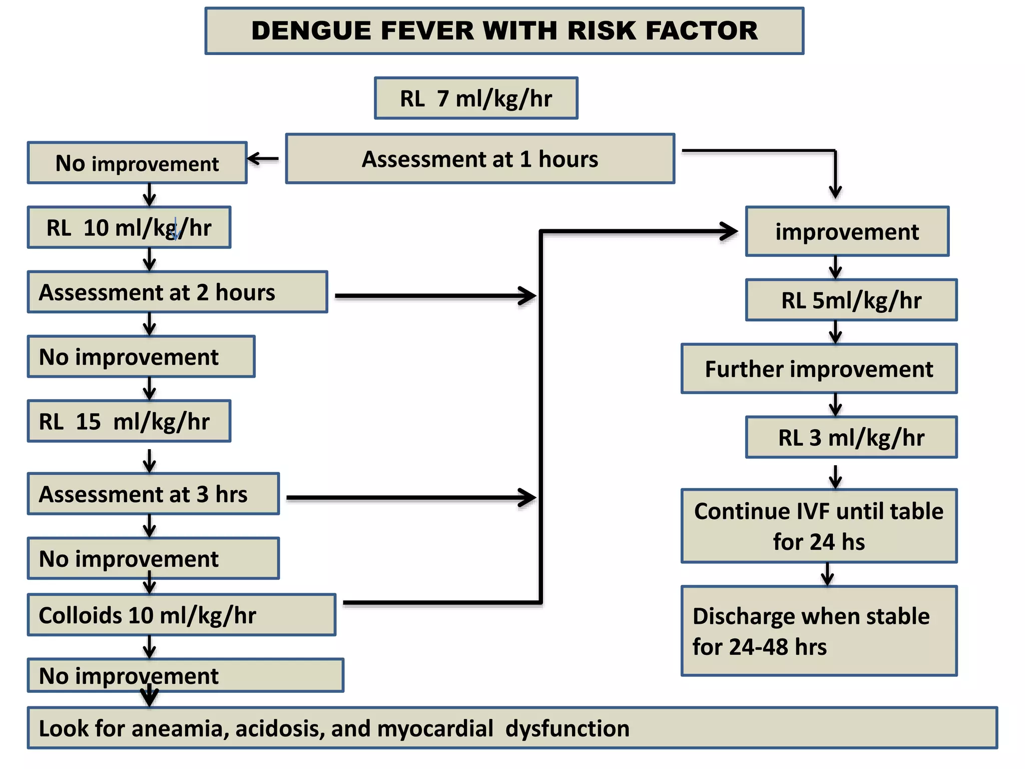 dengue diagnosis and management | PPTX