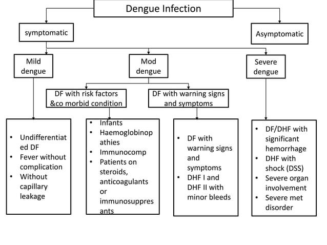 dengue diagnosis and management | PPTX