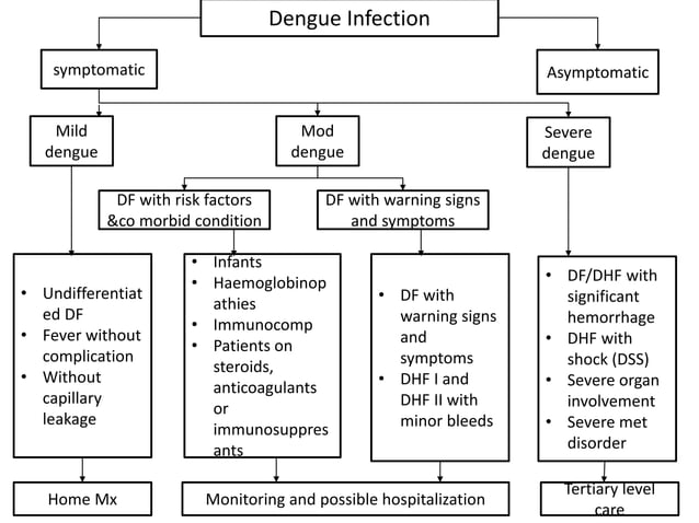 dengue diagnosis and management | PPTX