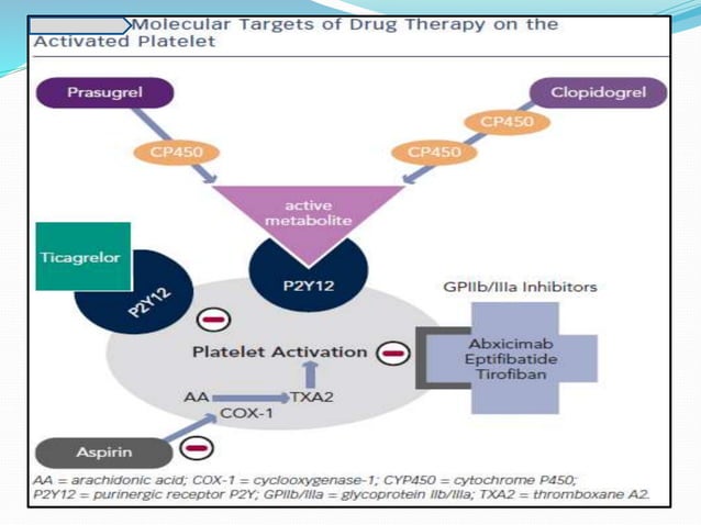 dual antiplatelet therapy | PPTX | Blood Disorders | Diseases and ...