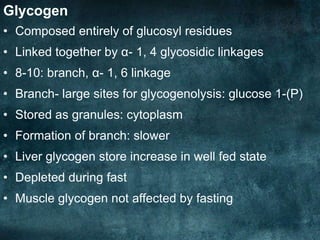 Glycogen Metabolism | PPT