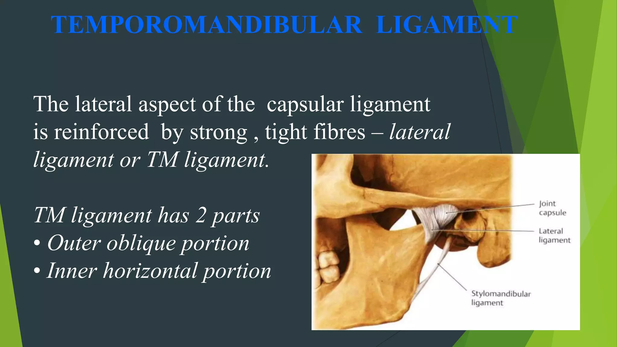 Presentation temporomandibular joint anatomy | PPTX
