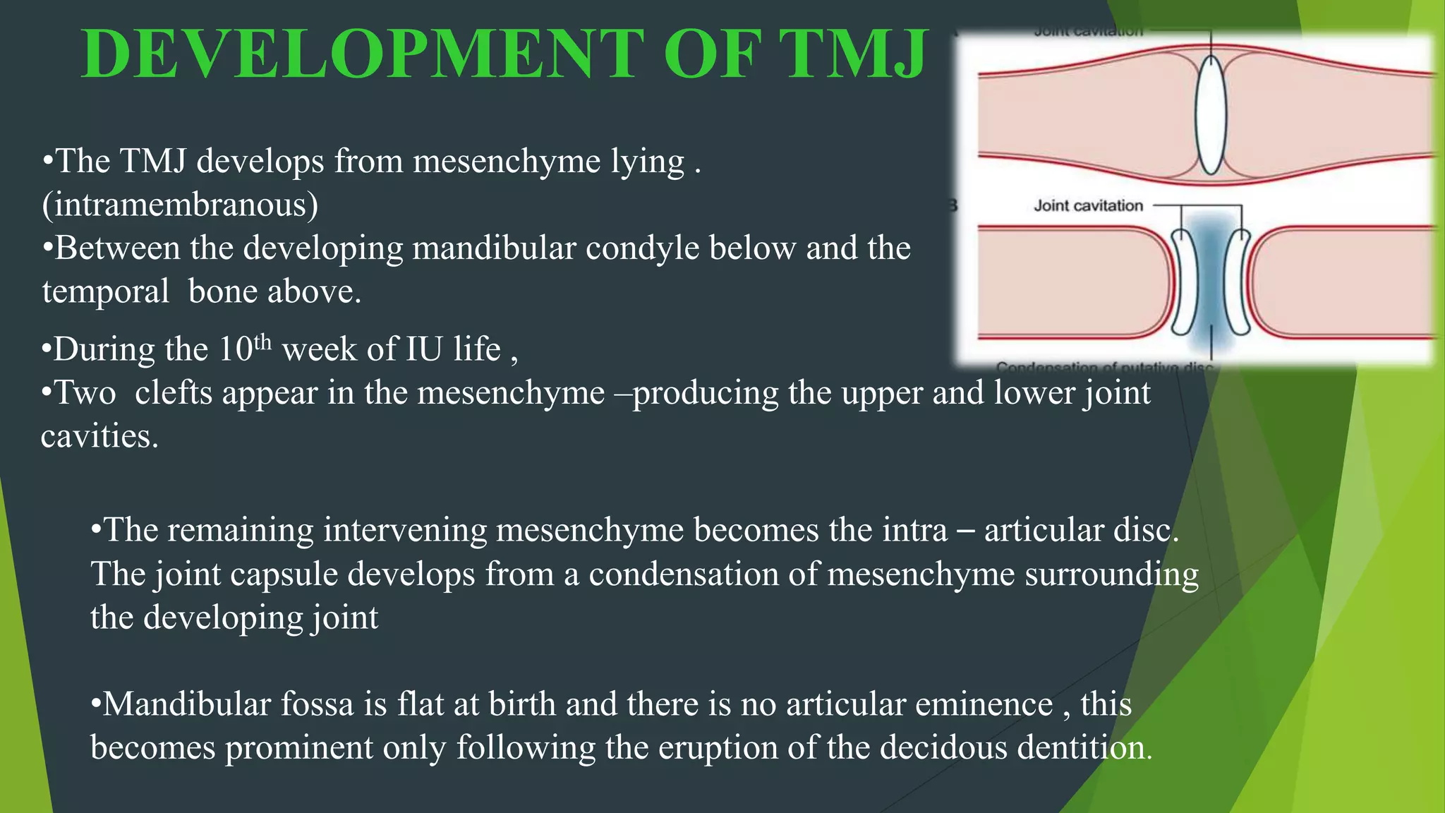 Presentation temporomandibular joint anatomy | PPTX