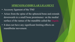 Presentation temporomandibular joint anatomy | PPTX