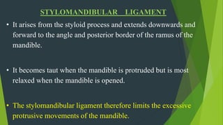 Presentation temporomandibular joint anatomy | PPTX