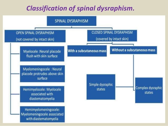Presentation1.pptx, radiological imaging of spinal dysraphism.