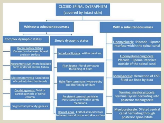Presentation1.pptx, radiological imaging of spinal dysraphism.