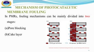 Presentation1 | PPTX