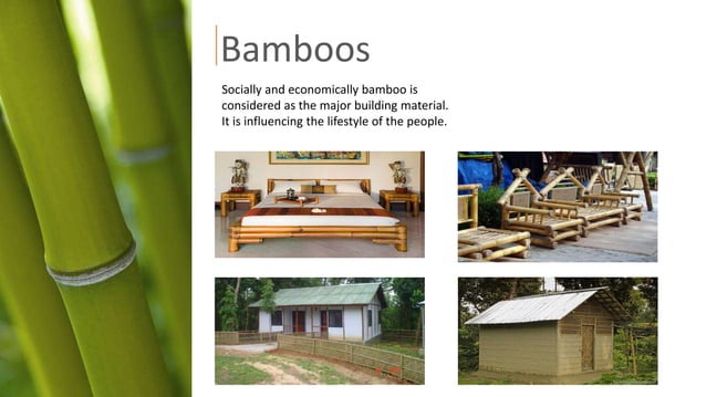 Vernacular Architecture of Assam | PPT