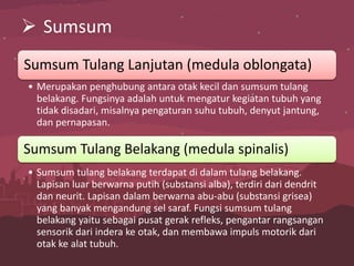 Biologi - Sistem Saraf | PPTX