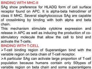 MHC, Superantigens | PPT
