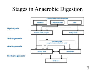 Anaerobic Digester | PPTX