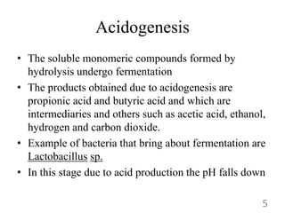 Anaerobic Digester | PPTX | Chemistry | Science
