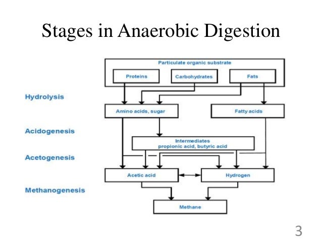 Stages Of Anaerobic Digestion Methane Fermentation A Brief History Of
