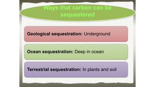climate change and greenhouse gases ,carbon sequestration, | PPT