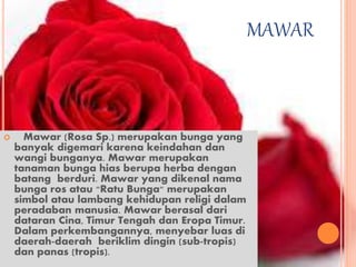 Powerpoint bunga mawar | PPTX