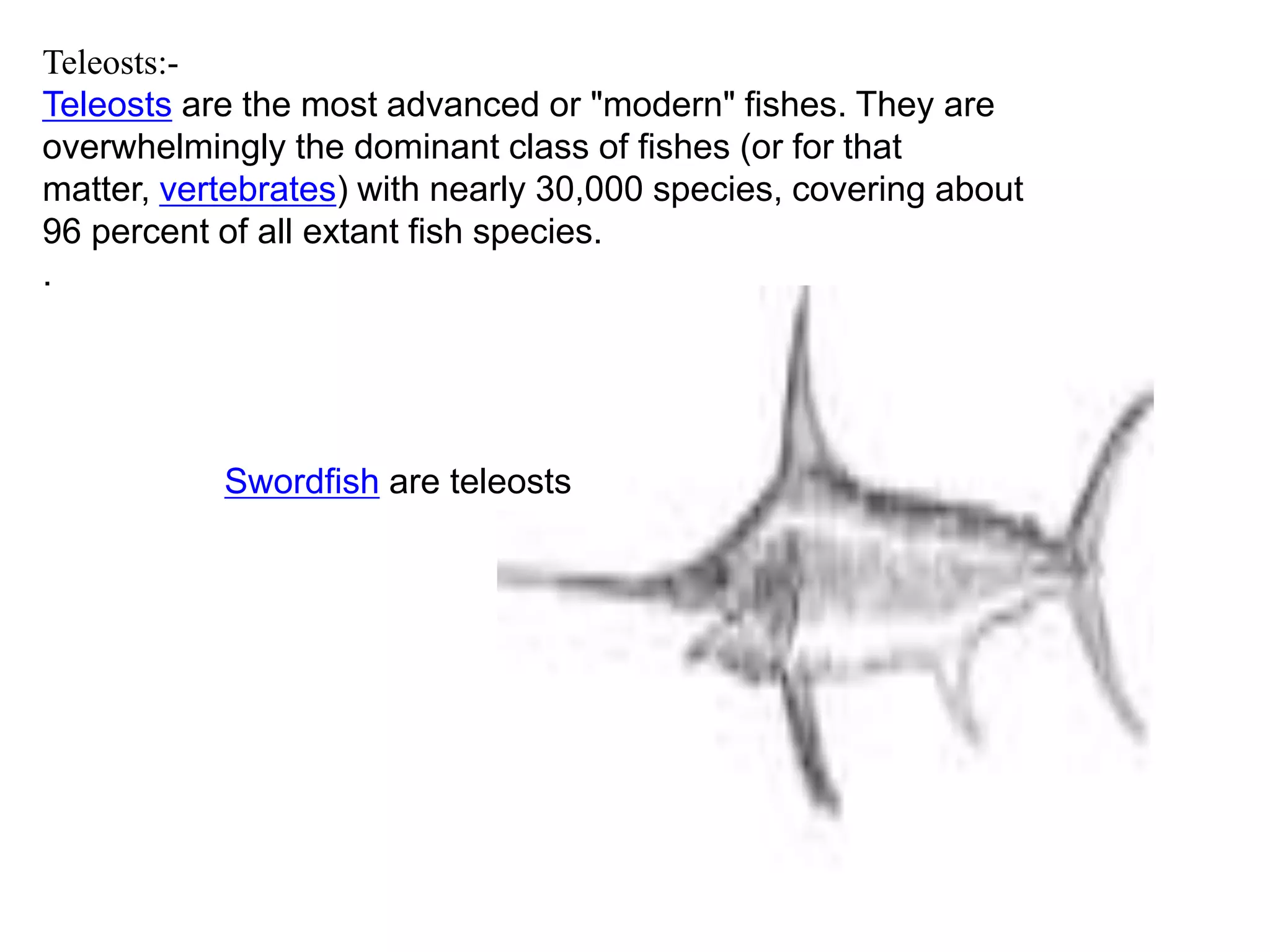 Presentation1.pptx diveristy in fishes | PPTX