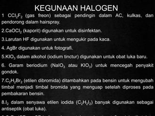 HALOGEN | PPTX