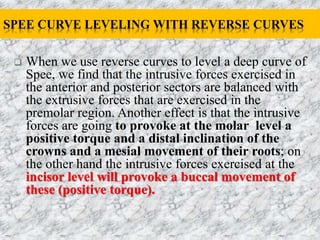 Torque in orthodontics | PPTX