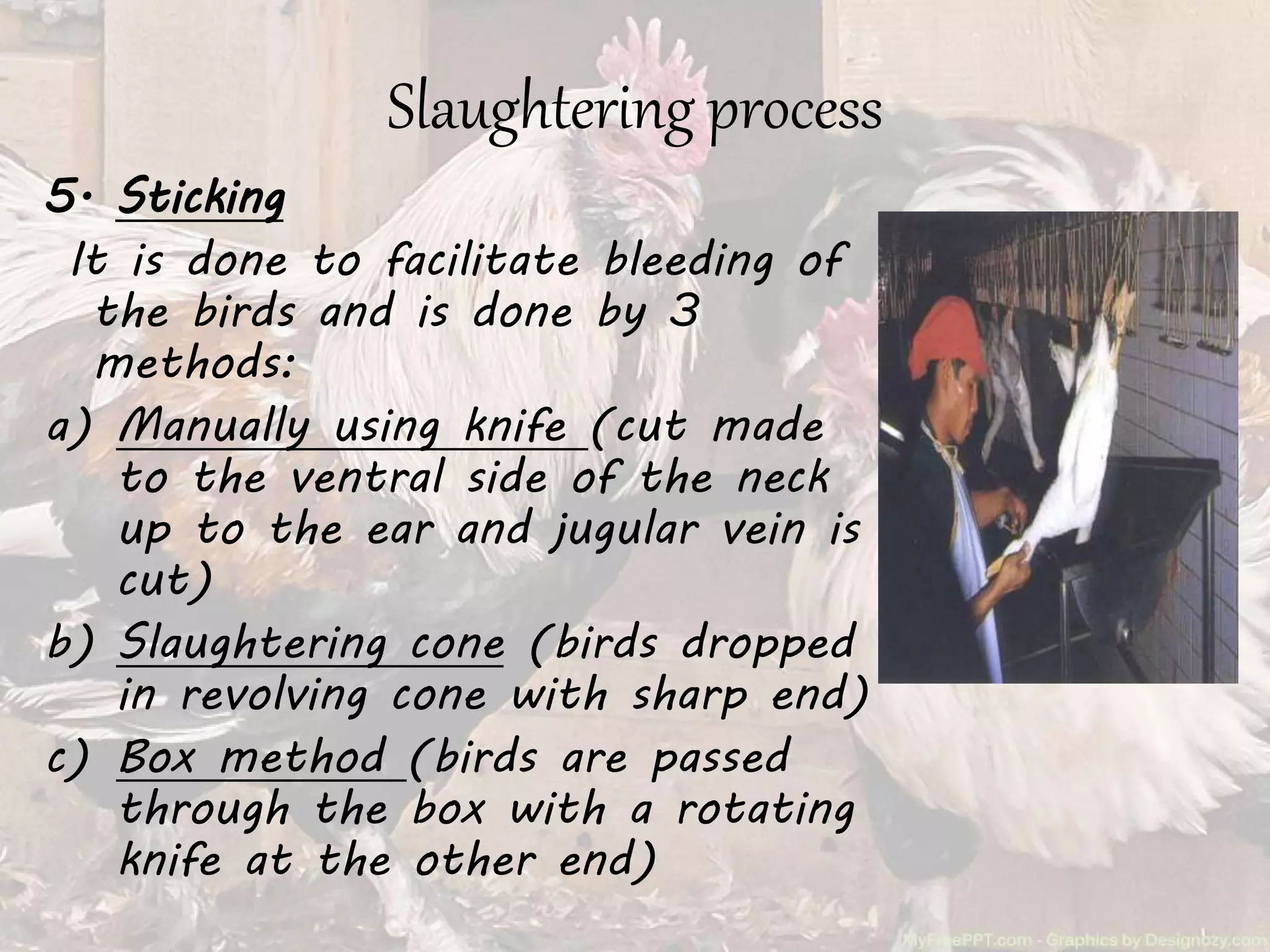 Poultry processing | PPTX