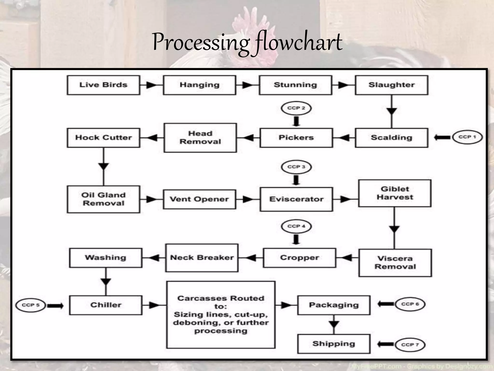 Poultry processing | PPTX