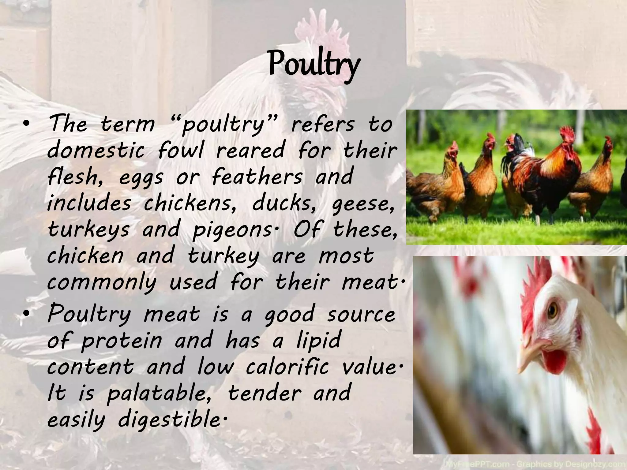 Poultry processing | PPTX