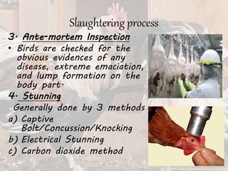 Poultry processing | PPTX