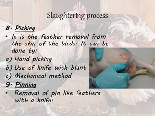 Poultry processing | PPTX