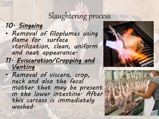 Poultry processing | PPTX