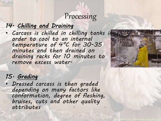 Poultry processing | PPTX