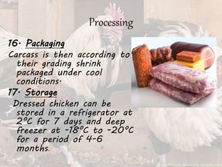 Poultry processing | PPTX
