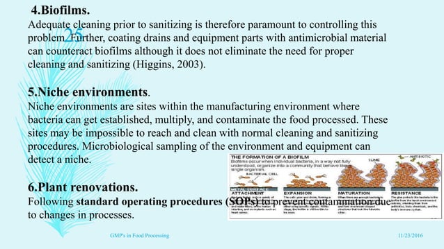 Good Manufacturing Practices in Food Processing | PPTX