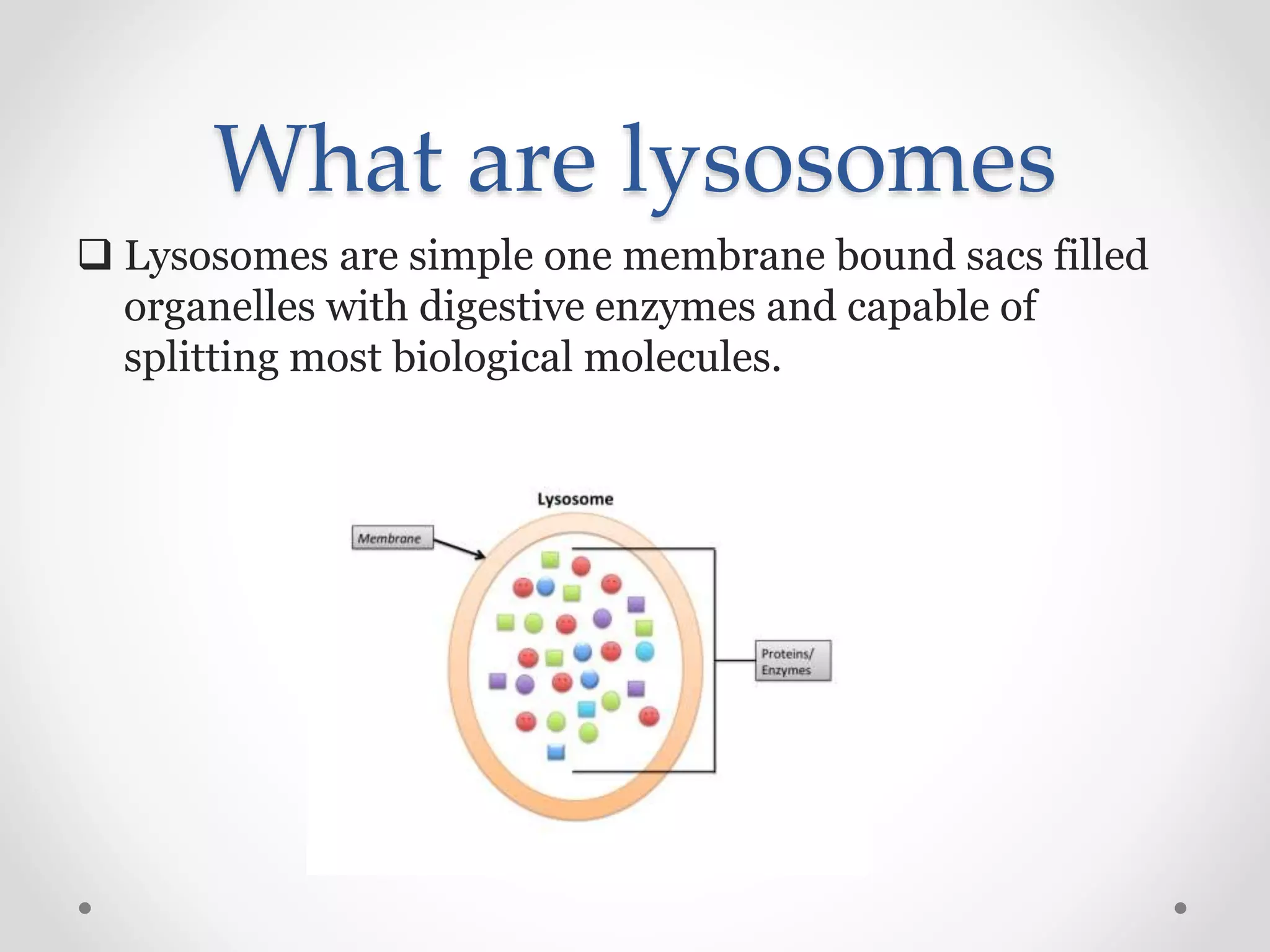 lysosomes | PPTX