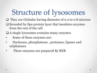 lysosomes | PPTX