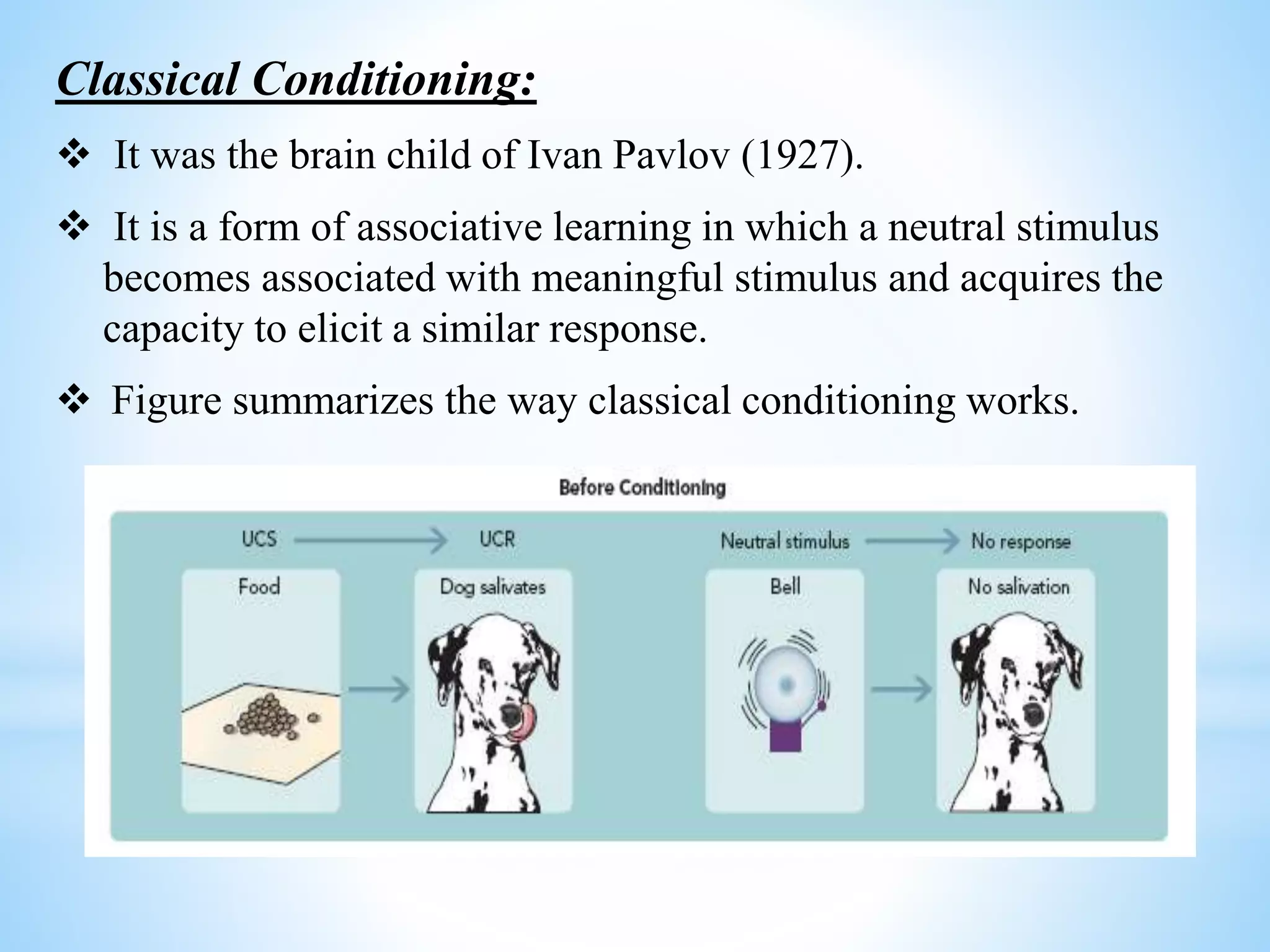 learning and Behavioral Approaches to Learning | PPTX